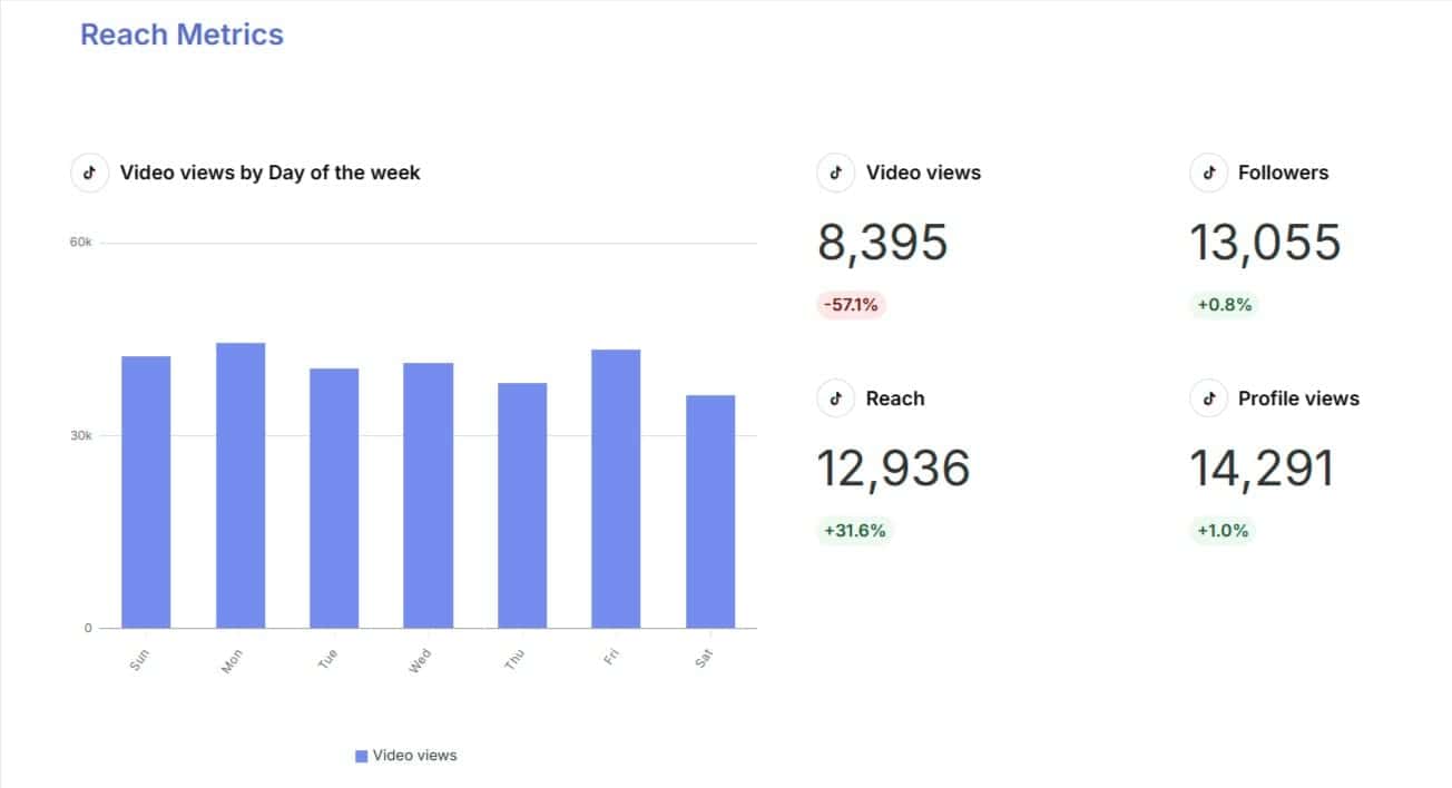 14 Most Important TikTok Metrics (Organic) to Track - Swydo