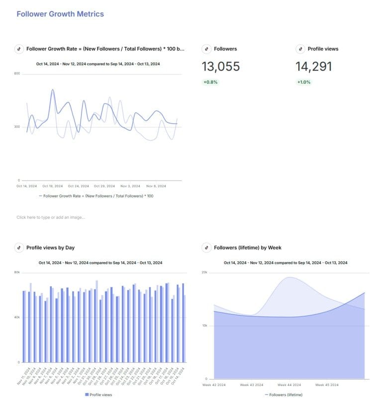14 Most Important TikTok Metrics (Organic) to Track - Swydo